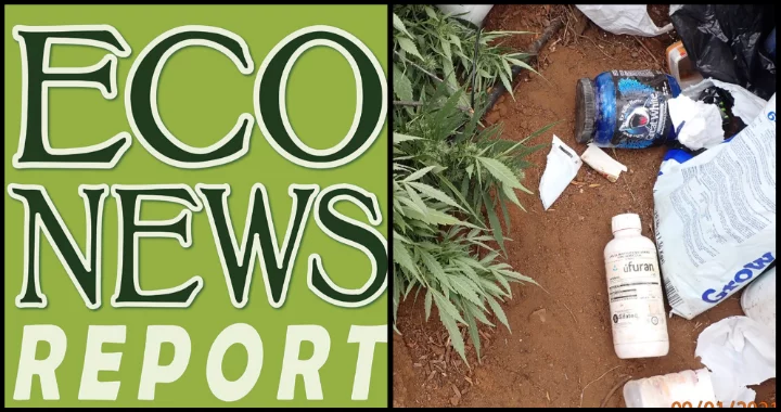 THE ECONEWS REPORT: Trespass Cannabis Grows Polluting Surface Water ...