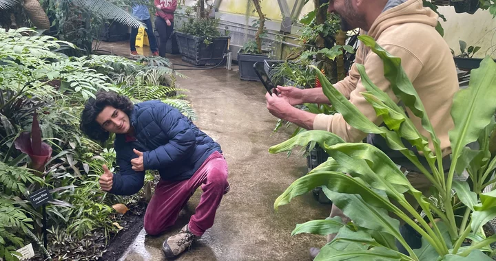 Stinky, Phallic 'Corpse Flower' Blooms in Cal Poly Humboldt Greenhouse ...