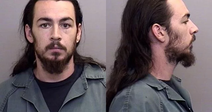 Mendo Weed Sweeps, Day Two! Another 8,000 Plants Taken in Laytonville ...