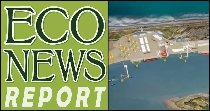 ECONEWS REPORT: Offshore Wind Port Development | Lost Coast Outpost ...