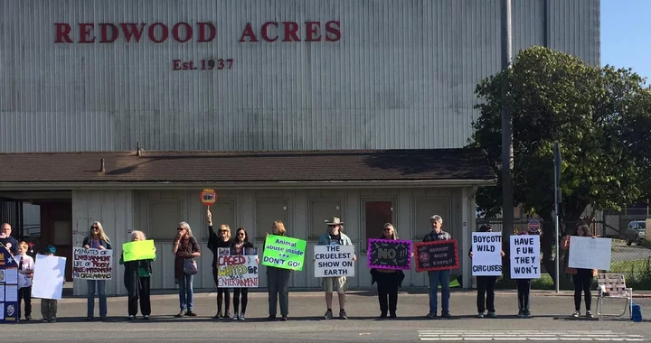 'Boycott Circus Cruelty': Protesters to Gather for Second Day of ...