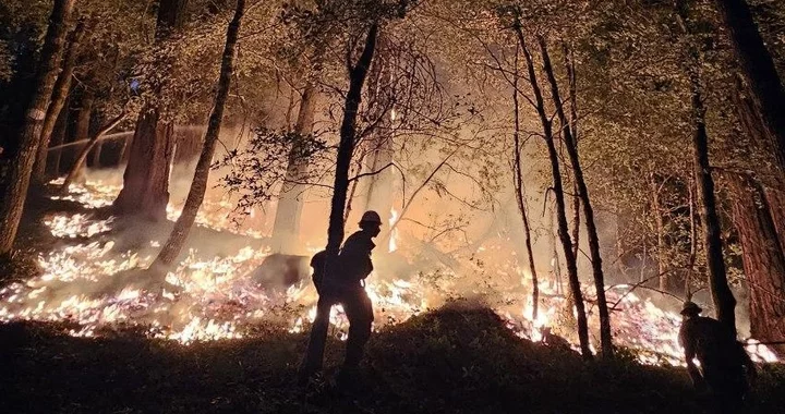 Hill Fire Now 45 Percent Contained at 7,224 Acres | Lost Coast Outpost ...