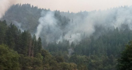 Butler Fire to Nearly 5,000 Acres, 8 Percent Containment; Thunderstorms ...