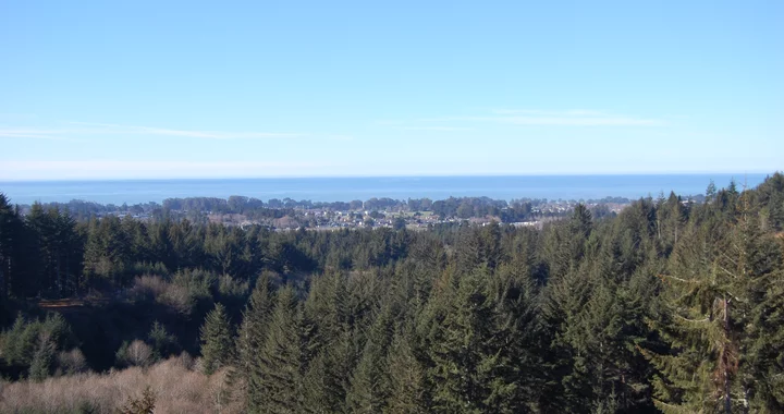 The Future McKinleyville Community Forest is Open For Business! CSD ...