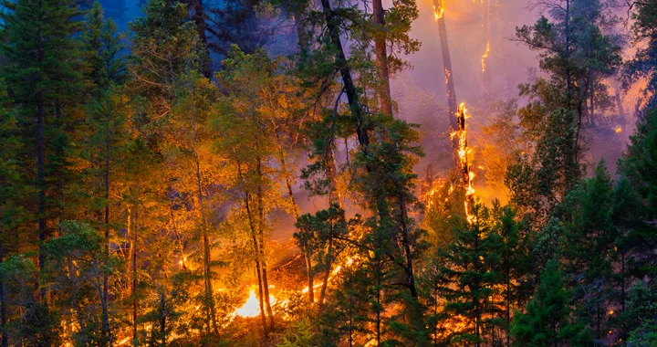 Dillon Fire Grows to 7,700 Acres With 7 Percent Containment; Red Flag ...