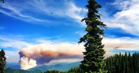 Morning Fire Update: Saddle Fire Nears 1,000 Acres and Growing; Bald ...