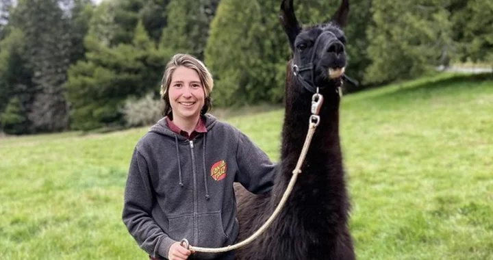 (AUDIO) HUMBOLDT HOLDING UP: Let’s Talk Llamas! Keagan Trischum Invites ...