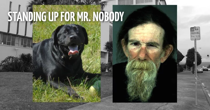 (VIDEO) Arcata Dog 'Mr. Nobody' Finds New Life in San Francisco; Will ...