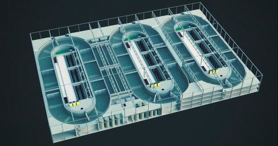 Nordic Aquafarms, the Company Planning a Massive Land-Based Fish Farm ...