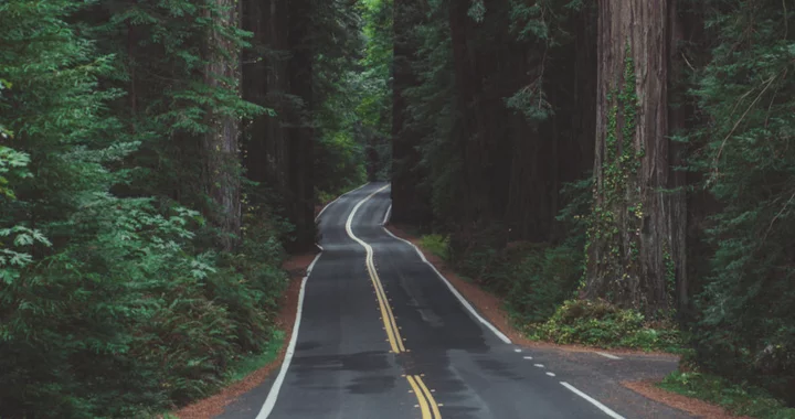 Section of Avenue of the Giants Closed Due to Slide | Lost Coast ...