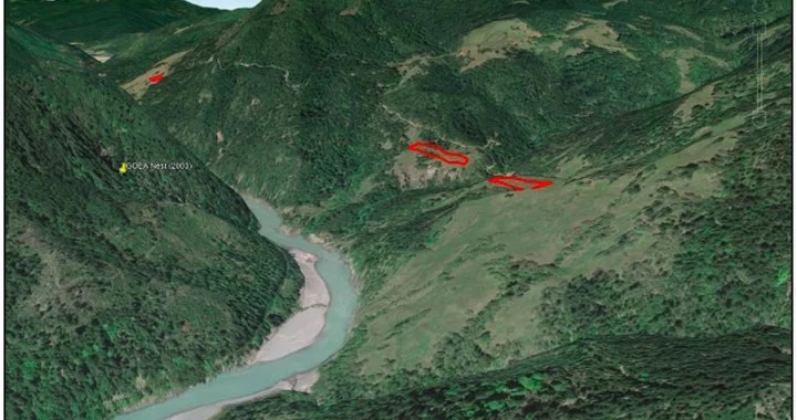 Environmental Groups Double-Sue Humboldt County Over Controversial ...