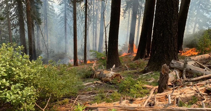 Red-Salmon Complex Edges Up on 30,000 Acres; More That 700 People Still ...