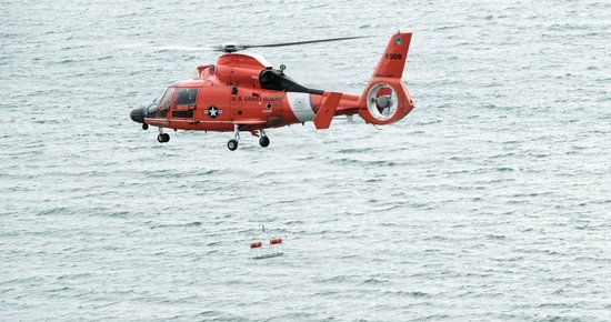 FEAR NOT, CITIZEN: Most of Those Coast Guard Choppers You'll See Soon ...