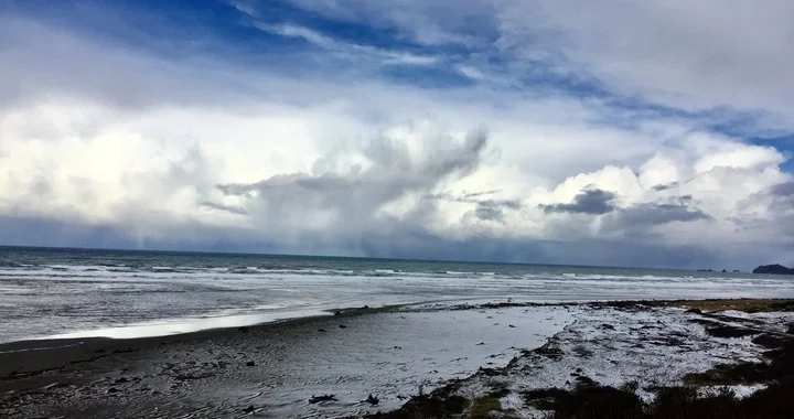 County Health Department Develops Poop Test to Figure Out Who -- or ...