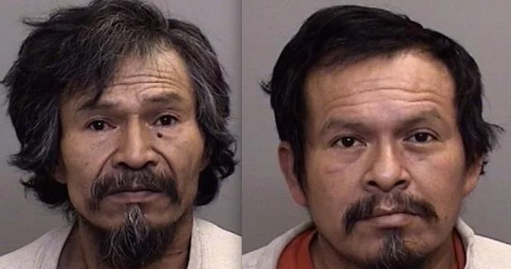 Nearly 5000 Marijuana Plants Eradicated, Stream Diversions Discovered ...