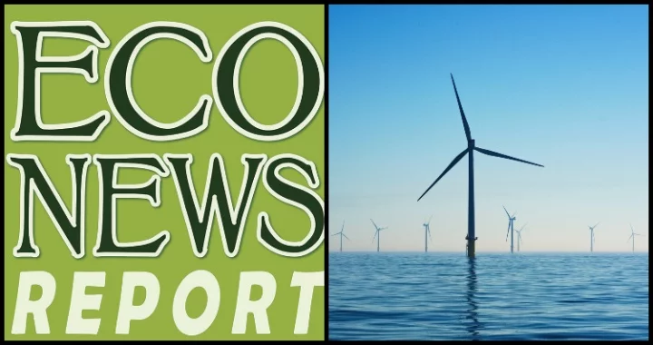 THE ECONEWS REPORT: Community Benefits from Offshore Wind? | Lost Coast Outpost | Humboldt ...