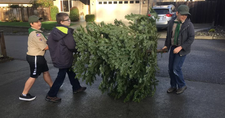 Start Thinking About Dumping That Tree! Once Again, Scouts Stand Ready ...