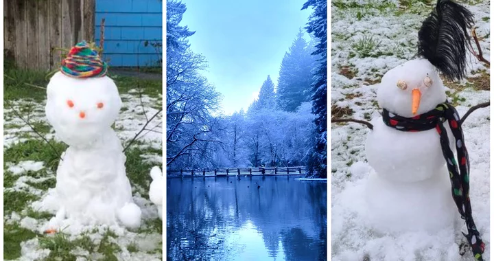 (PHOTOS) Yes, This is the Most Snow Coastal Humboldt Has Seen in More ...