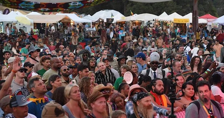 REGGAE RETURNS! Mateel Community Center Announces Revival of Reggae on ...