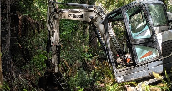 Freshwater-Area Logging Accident Leaves One With 'Severe Extremity ...