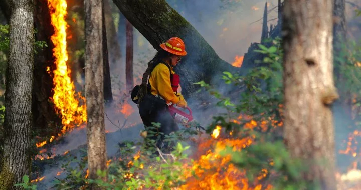 PRESCRIBED BURN ROUNDUP: Big, Good Fires Planned Today and Tomorrow in ...