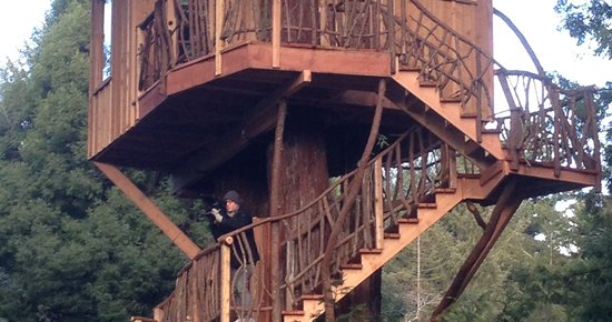 Look At This Treehouse | Lost Coast Outpost | Humboldt County News