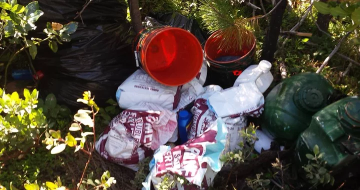 11,992 Marijuana Plants Eradicated at Trespass Grows Straddling ...