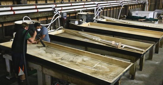 YOUR WEEK IN OCEAN: New Chapter for Old Pulp Mill | Lost Coast Outpost ...