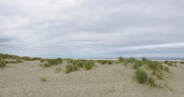 BEACH BUMMER! Clam Beach Named One of State's Most Polluted For Sixth ...