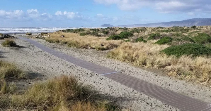 Clam Beach Just Became Wheelchair-Friendly Says County, Which Says it ...