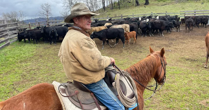 OBITUARY: David Eugene Albee, 1948-2025 | Lost Coast Outpost | Humboldt ...