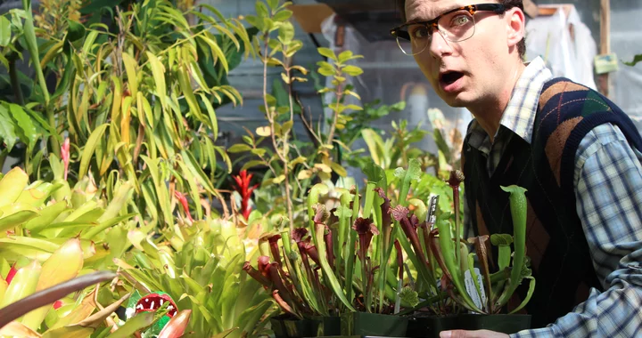 HELL WEEK OF 'HORRORS': Classic Musical Comedy 'Little Shop' Set to ...