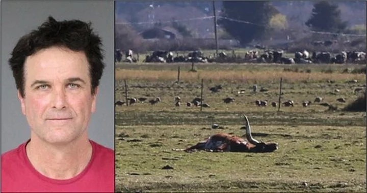 Second Ray Christie Trial Postponed Due to Defendant's Deteriorating ...