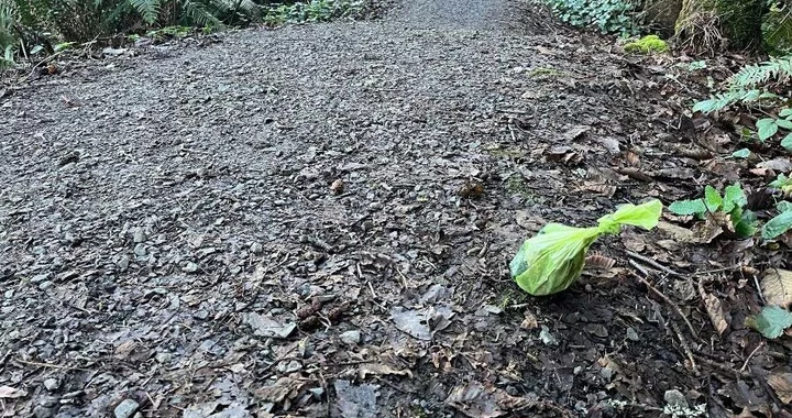 STUDENT SCIENCE: Is Dog Poop Pollution a Problem on Humboldt County ...