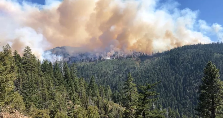 FIRE UPDATE: Highway 101 Still Closed in Mendo; Red Salmon Complex ...