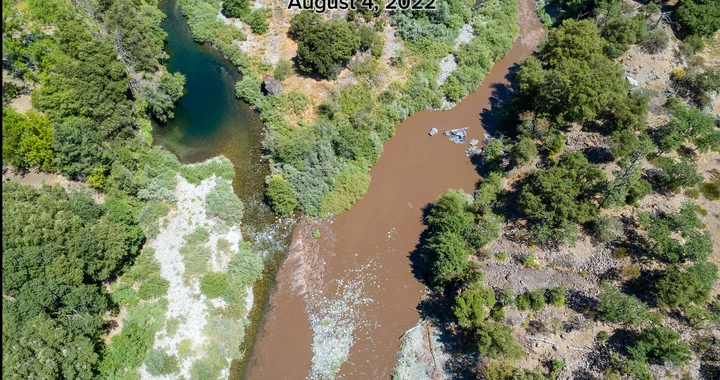 The Spring Salmon Run on the Klamath Rebounded a Bit This Year, Says ...