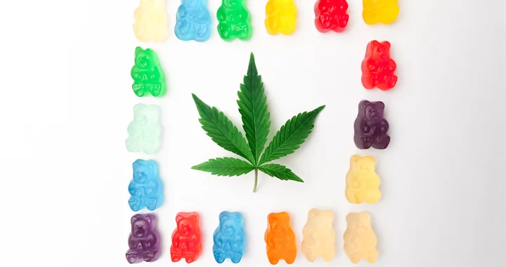 If You Can't Afford a Lock Box to Keep Your Guns and Cannabis Gummies ...