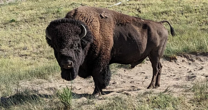 SPRINTING ACROSS AMERICA: Week 13! An Interlude at the National Parks of the Great Mountain West ...