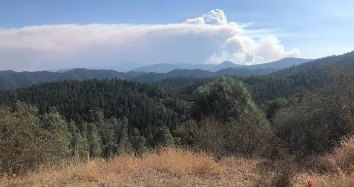 Red Salmon Complex Growth Slows, Firefighters Working to Stop Hopkins ...