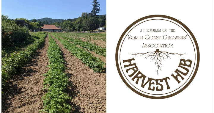 Harvest Hub Connects Local Farmers with Restaurants, Wholesale Buyers in an Online Farmers ...