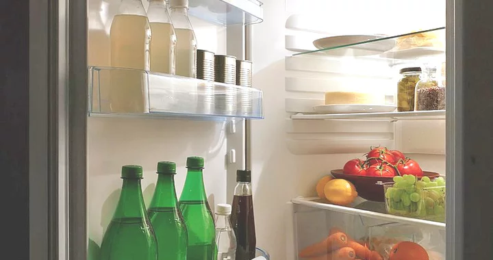 GROWING OLD UNGRACEFULLY: The Little Man in Your Refrigerator | Lost ...