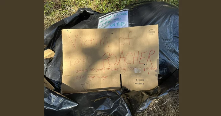 Cal Fish and Wildlife Investigating Alleged Shooting Death of a Mama ...