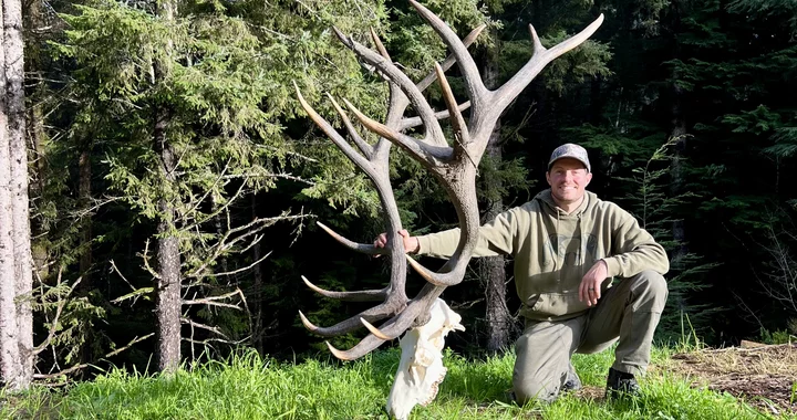 McKinleyville-Area Hunter Earns World Record With Largest Roosevelt Elk ...