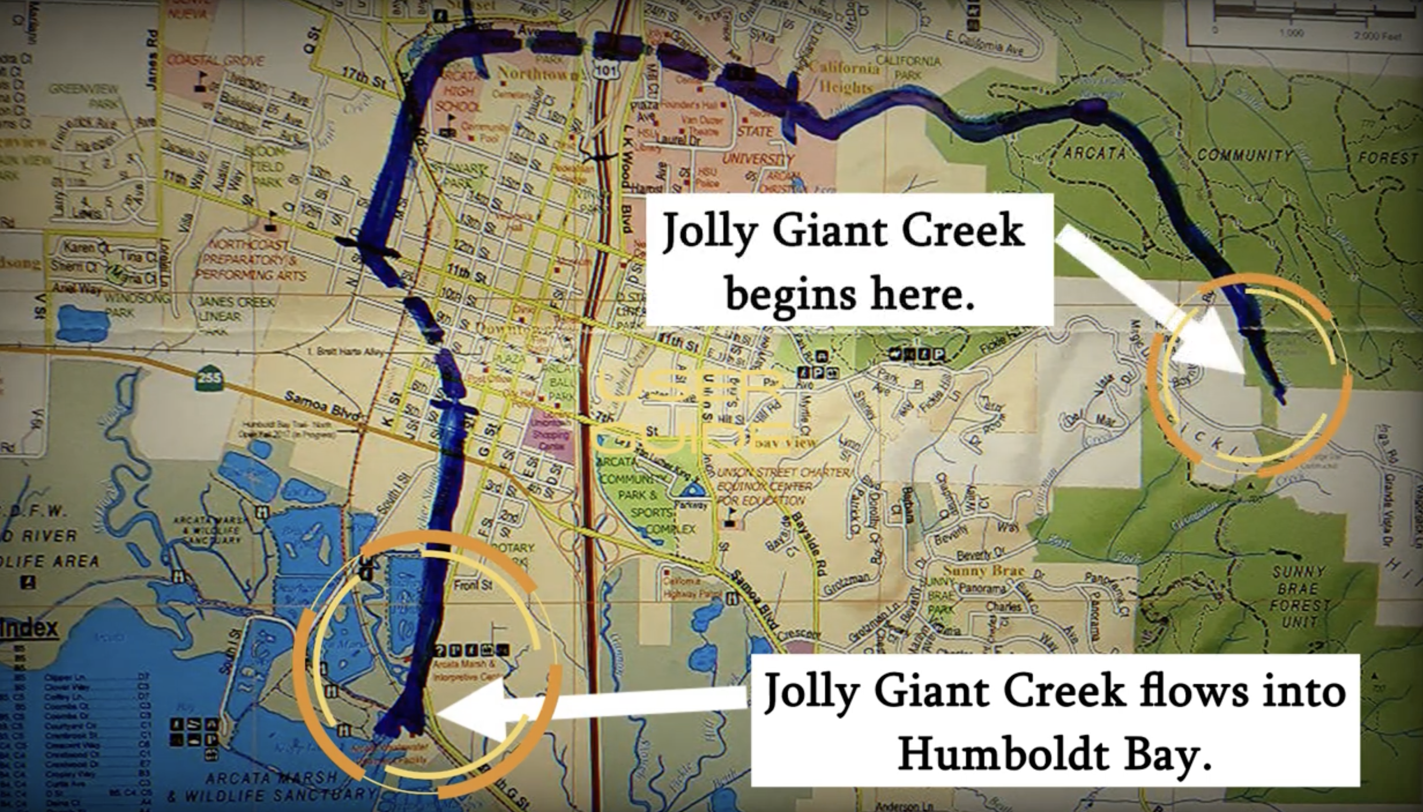 (VIDEO) HUMBOLDT OUTDOORS: Ray Olson Traverses Jolly Giant Creek From ...