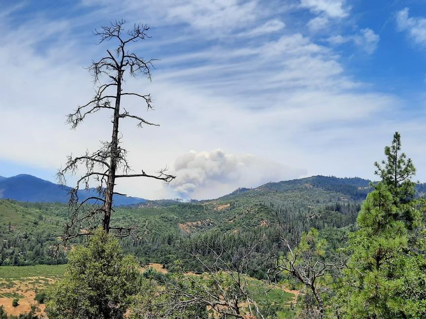 Hill Fire Held at 4,544 Acres, 0 Percent Containment | Lost Coast ...