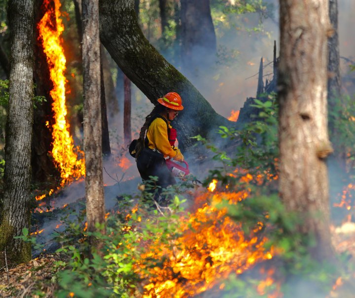 PRESCRIBED BURN ROUNDUP: Big, Good Fires Planned Today and Tomorrow in ...