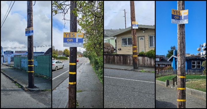 Several Dozen 'Housing For All' Signs Illegally Placed On Telephone ...