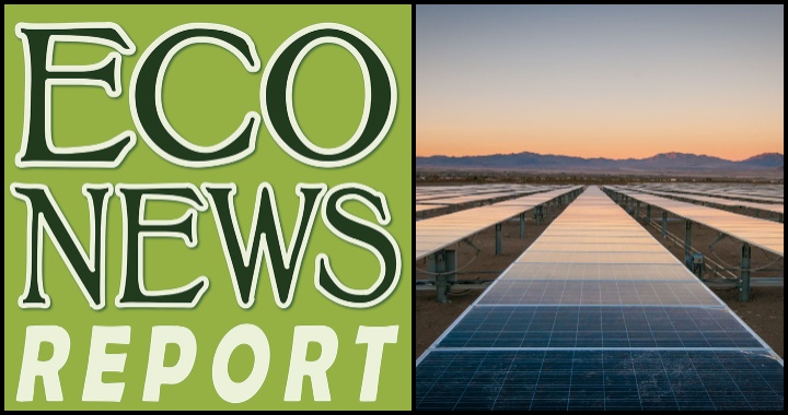THE ECONEWS REPORT: Where Does My Power Come From? | Lost Coast Outpost ...