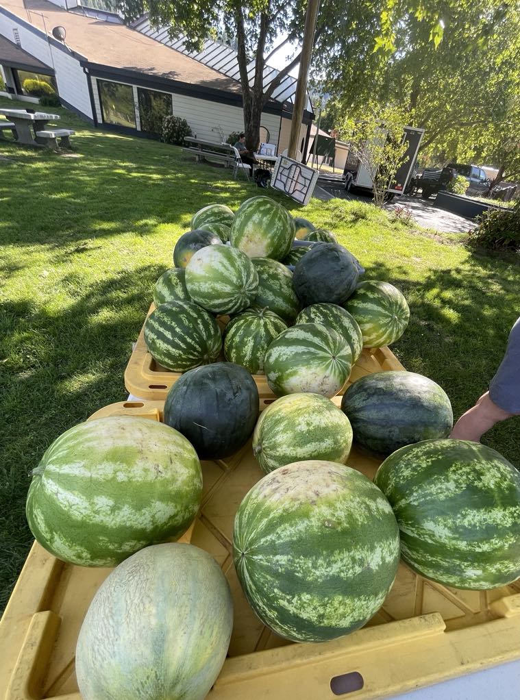 ‘A Crushing Blow’: USDA Cancels Local Food Purchasing Programs That ...