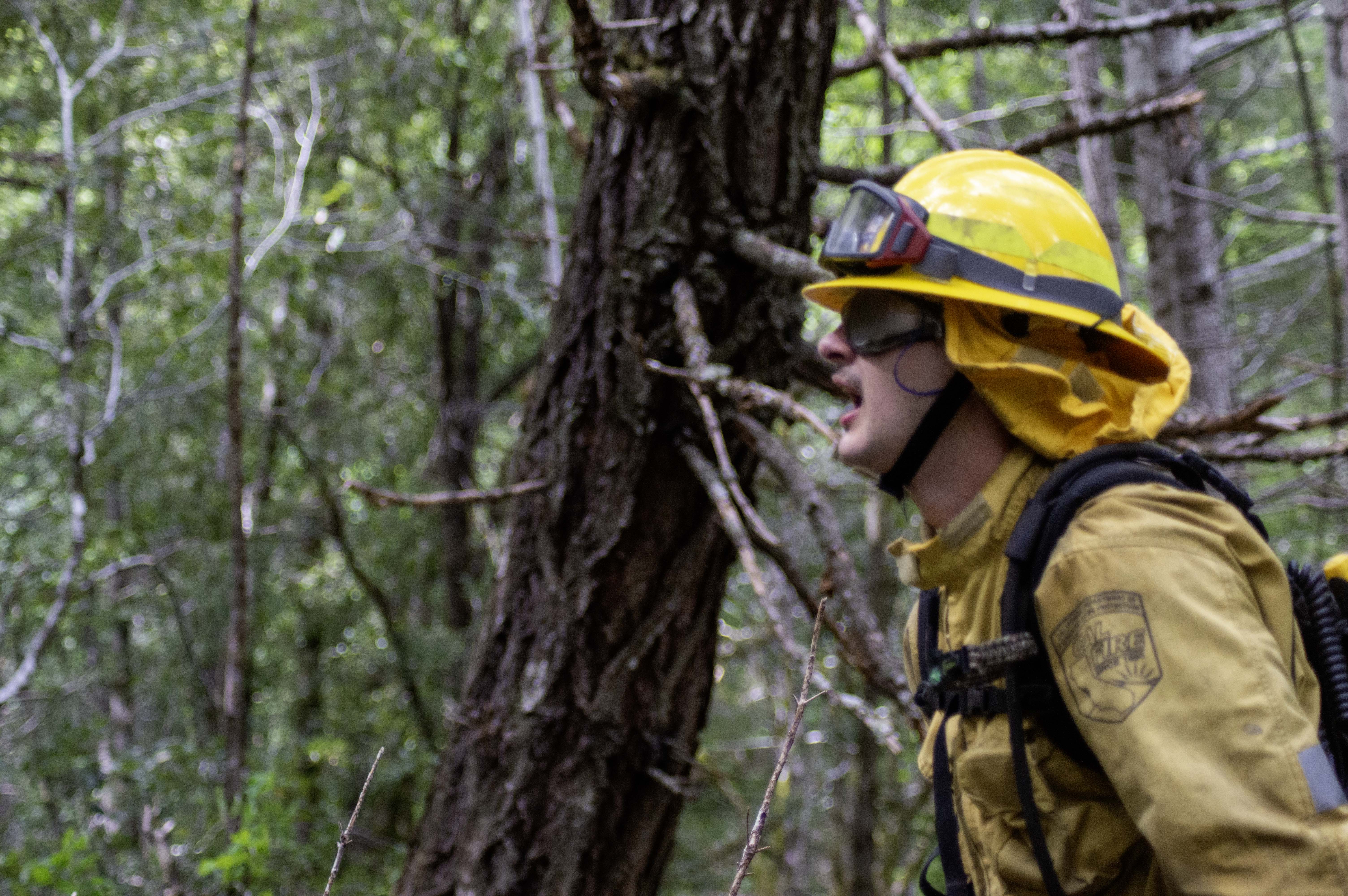 (PHOTOS) Wildland Firefighters Hike, Saw and Hack Away to Prep for ...
